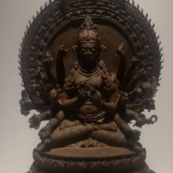 criticalcollective.in